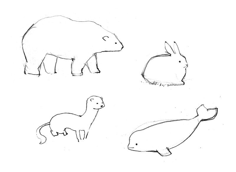 Arctic Animal Drawings