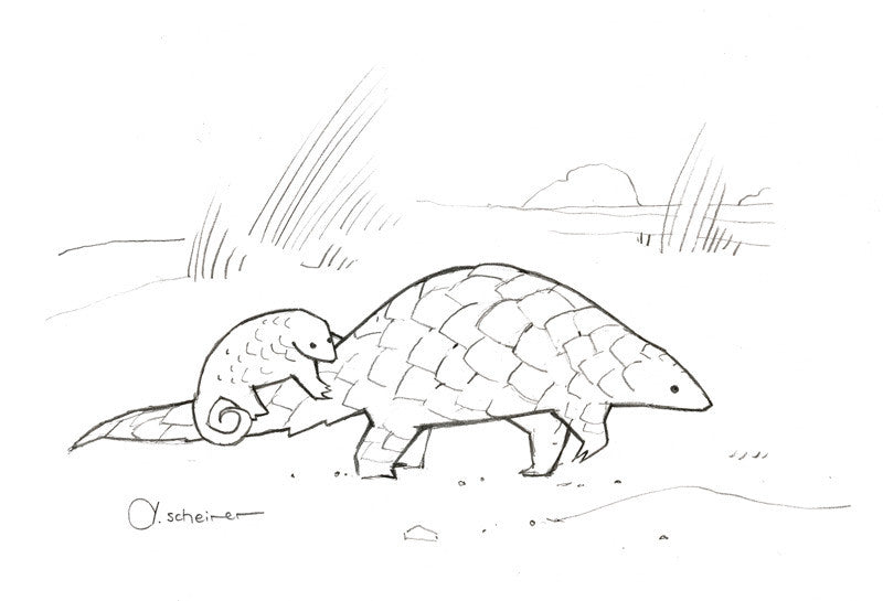 Pangolin Drawing